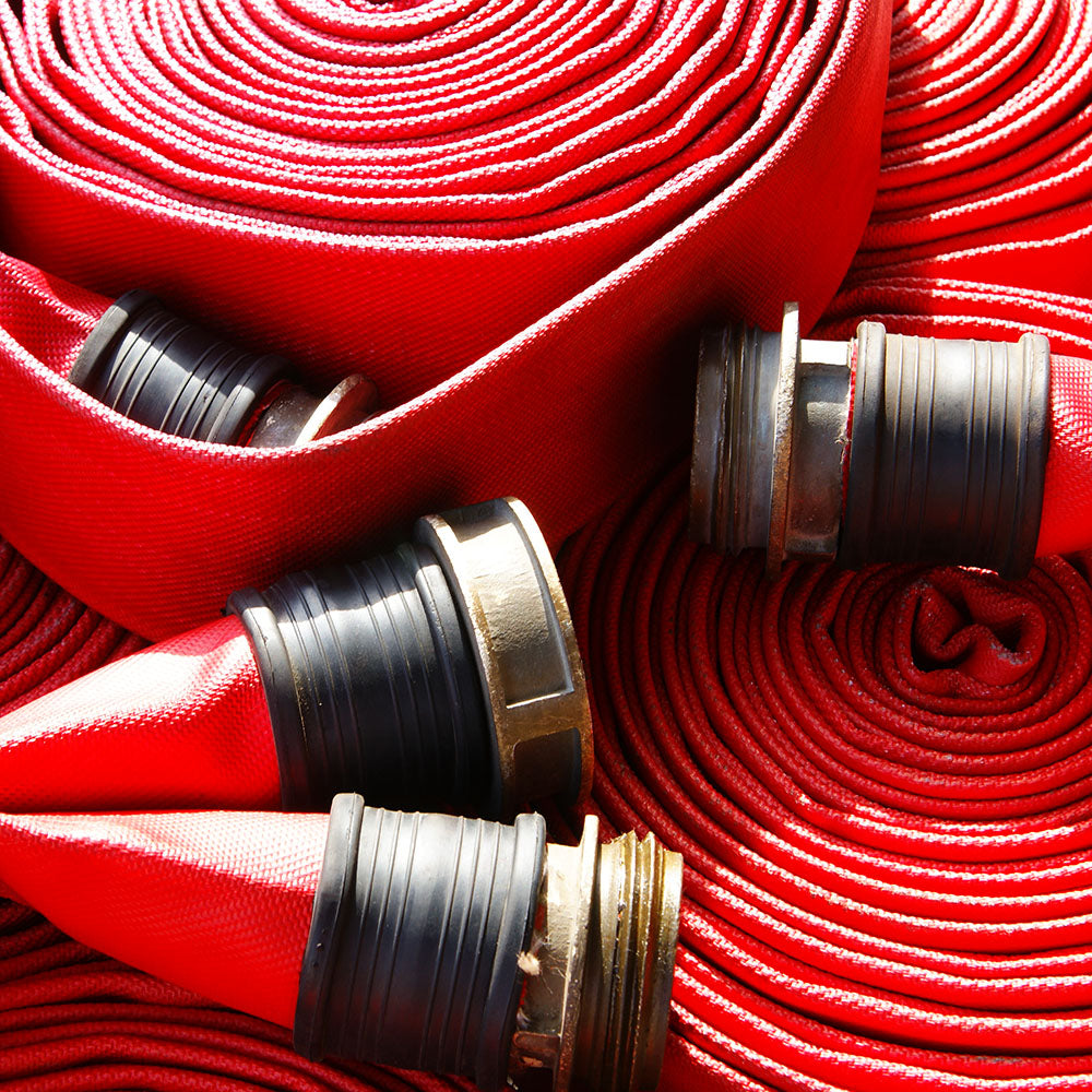 Collections – Foresee Electronics Inc